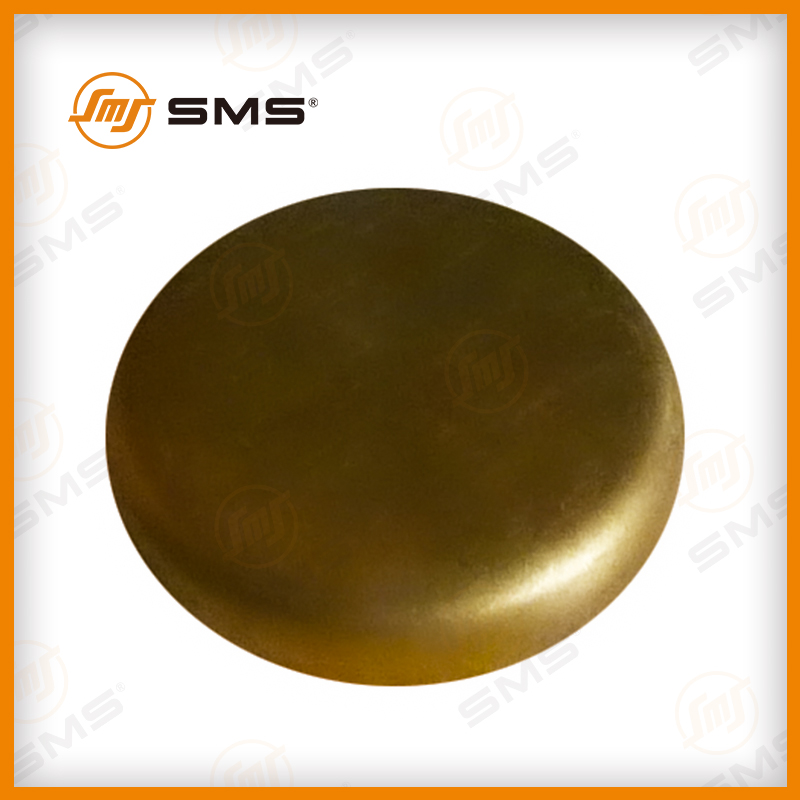 190003982121 Core Hole Plug Price_Manufacture_Supplier - SMS Co., Ltd
